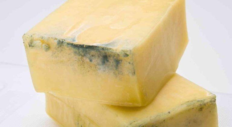 Quando c'è la muffa sul formaggio si può mangiare? Ecco quando si può ...